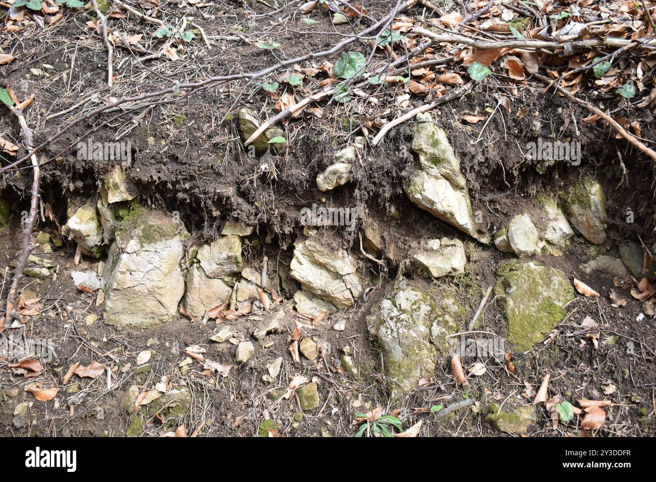 Soil profile hi-res stock photography and images - Alamy