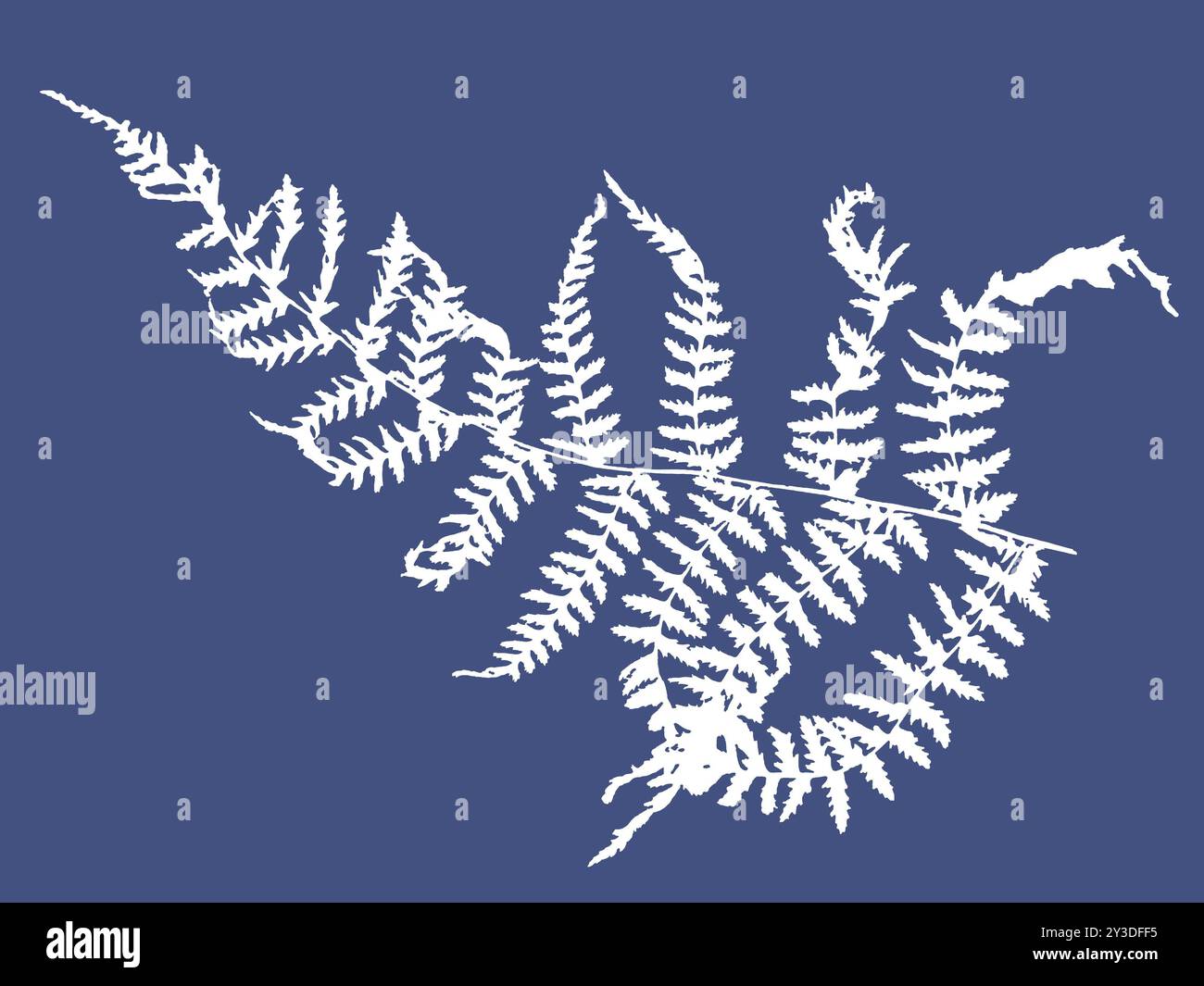 A white outline silhouette of a fern on a blue background Stock Photo ...