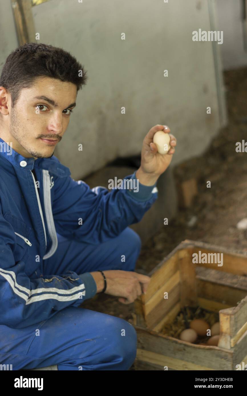 Vertical portrait of young Caucasian farmer guy collecting eggs from ...