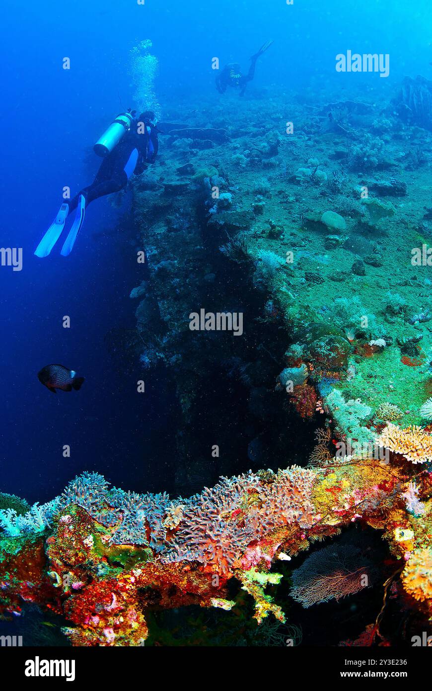 Diver on Hirokawa Maru wreck Stock Photo - Alamy