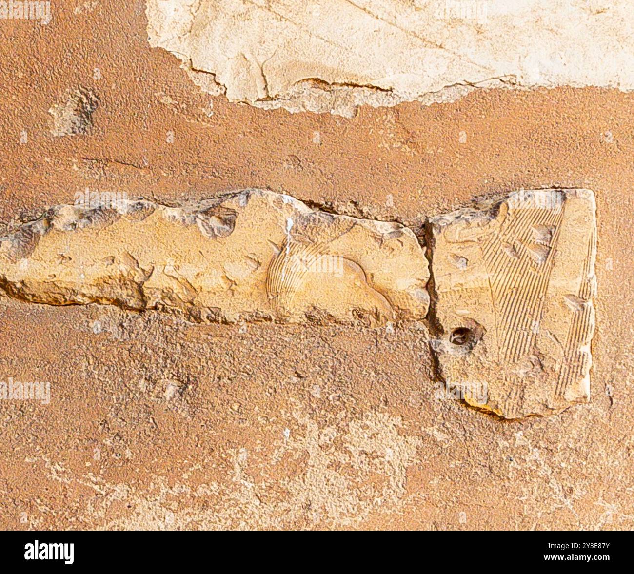 Egypt, Saqqara South, king Pepi II funerary temple relief : Killing a ...