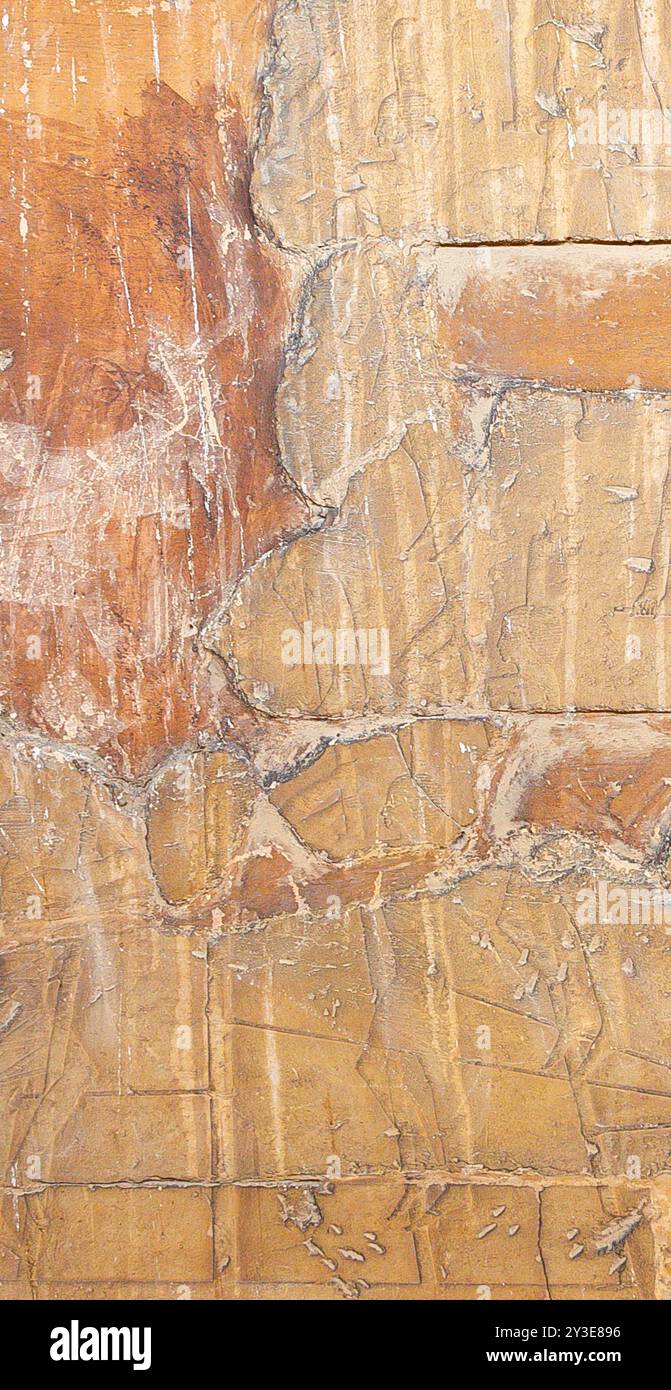 Egypt, Saqqara South, king Pepi II funerary temple relief : Raising a ...