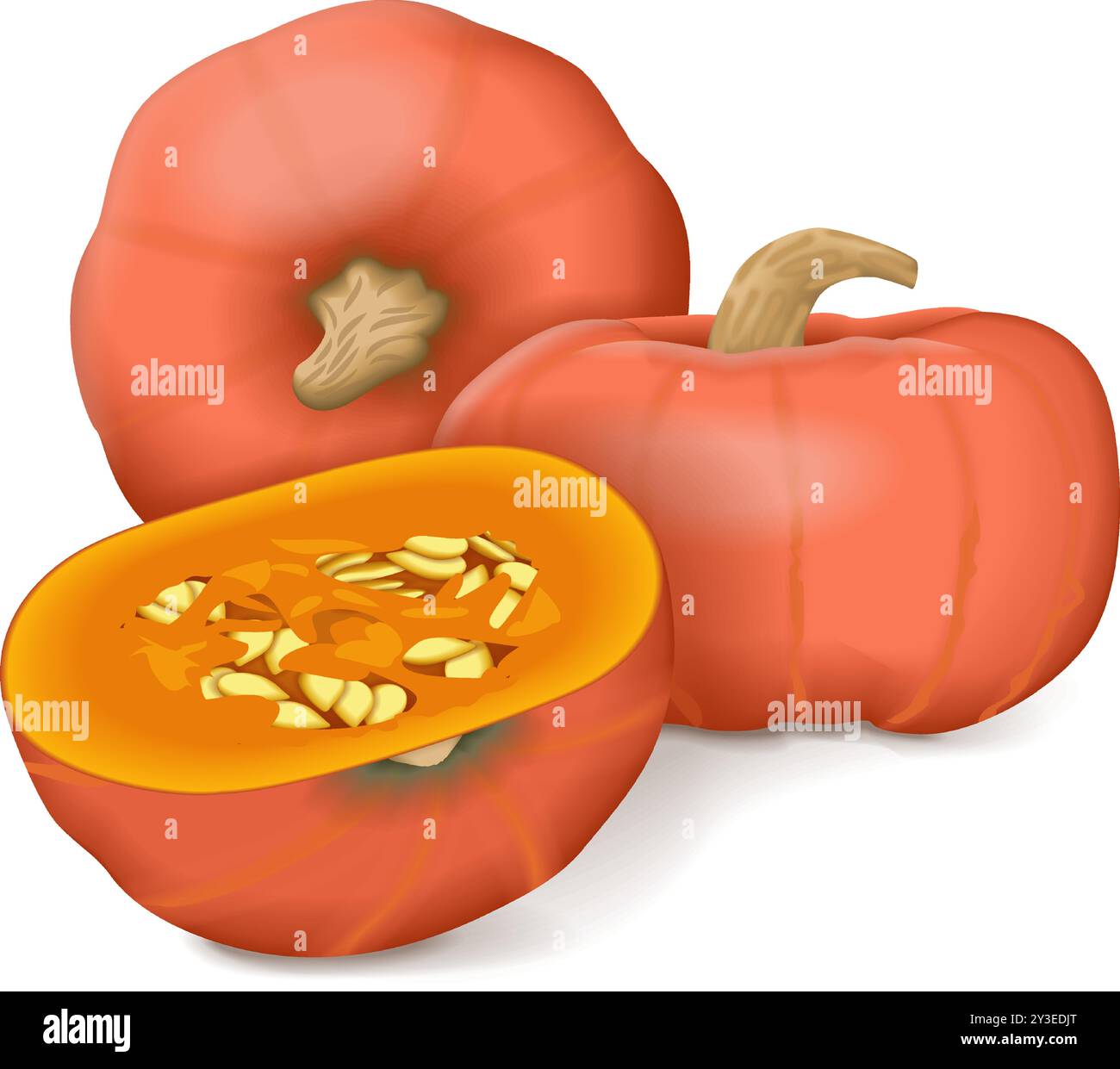 Whole and chopped Sunshine kabocha squash. Winter squash. Cucurbita ...