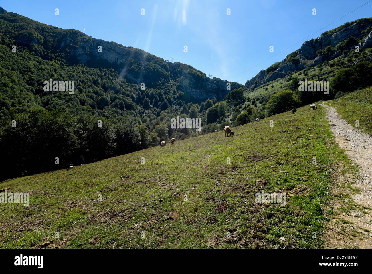 Different views of the coast and mountains of the French Basque country ...