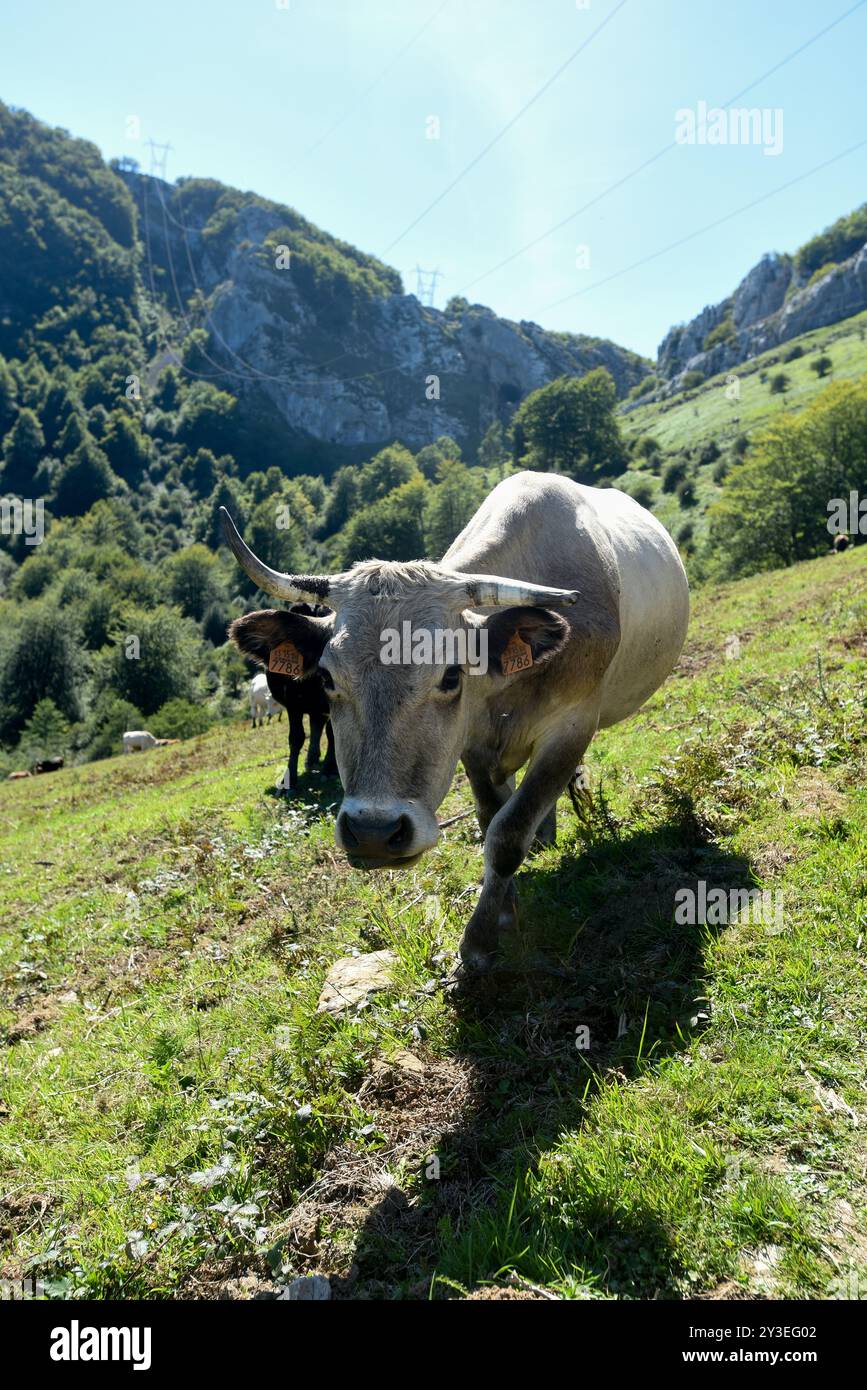 Different views of the coast and mountains of the French Basque country ...