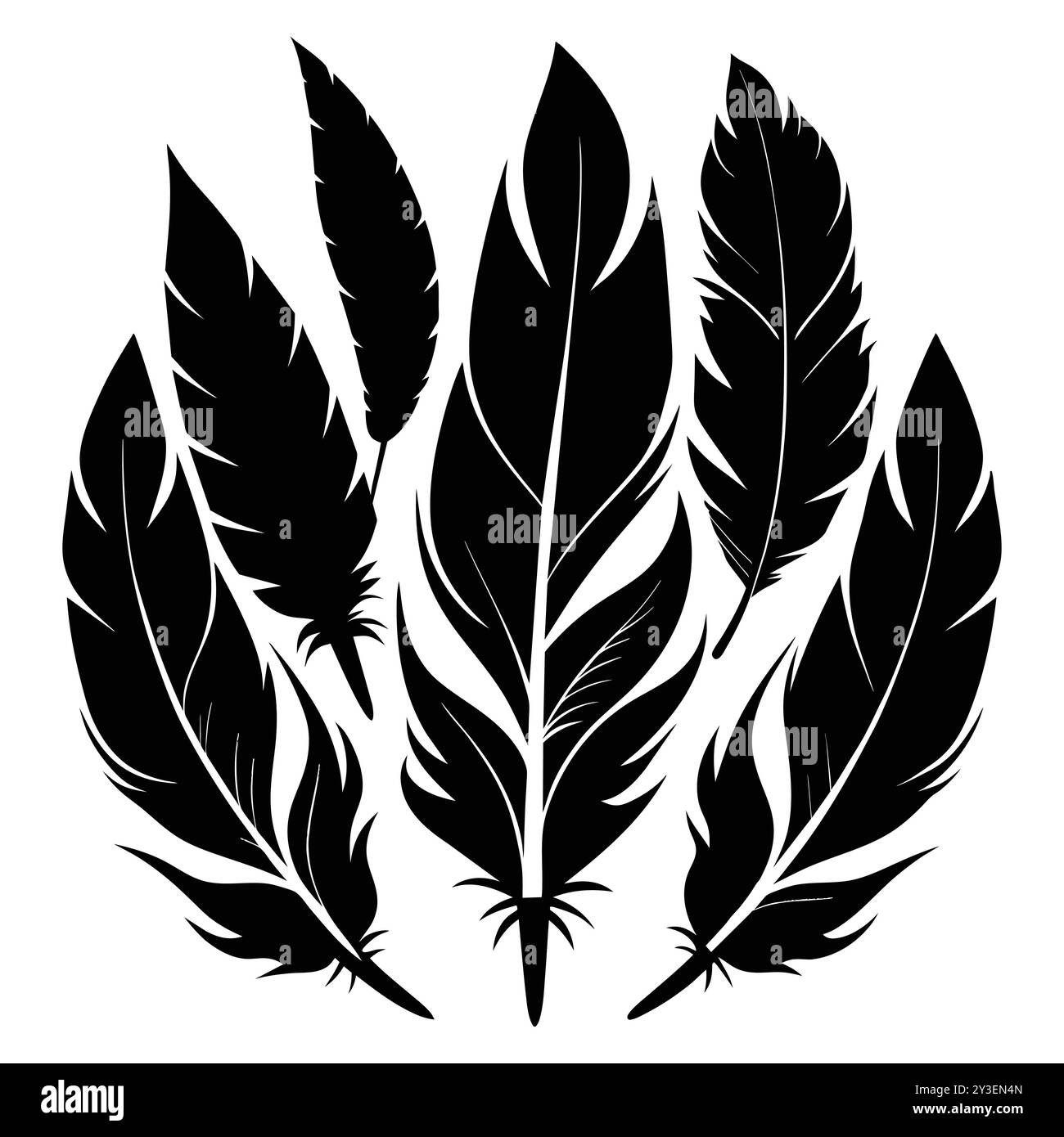 Elegant Feather Silhouettes Vector Set Stock Vector Image & Art - Alamy