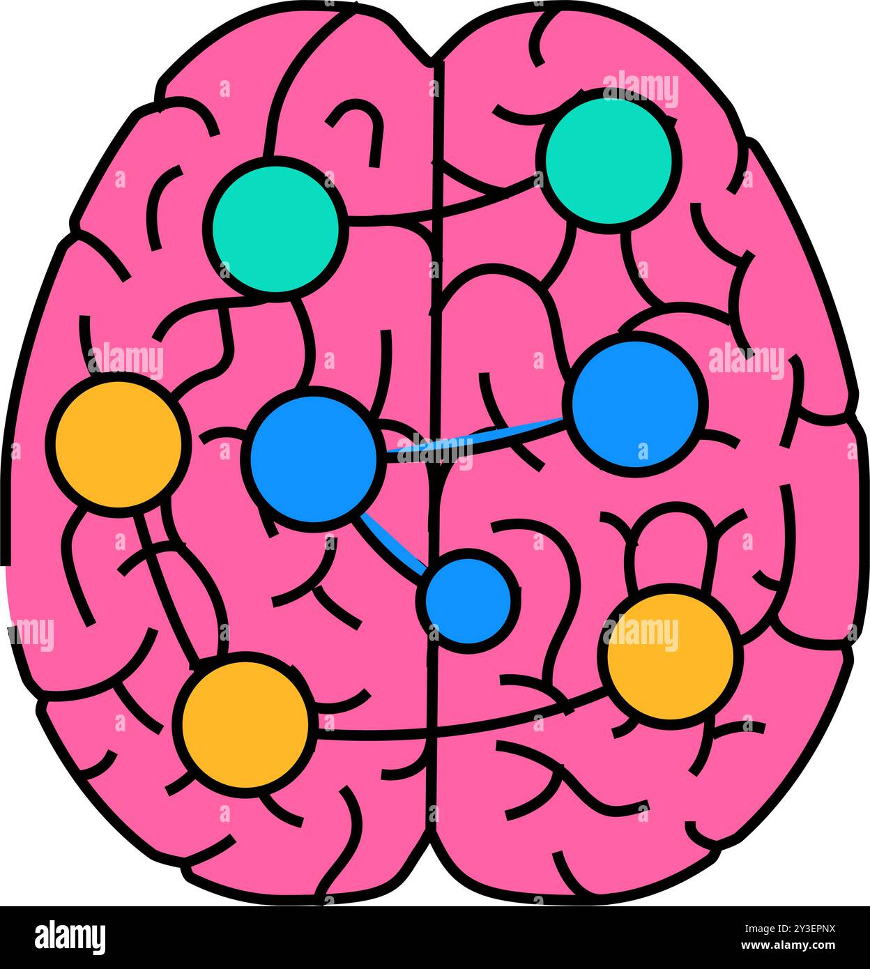 neural connectivity neuroscience neurology icon color illustration ...