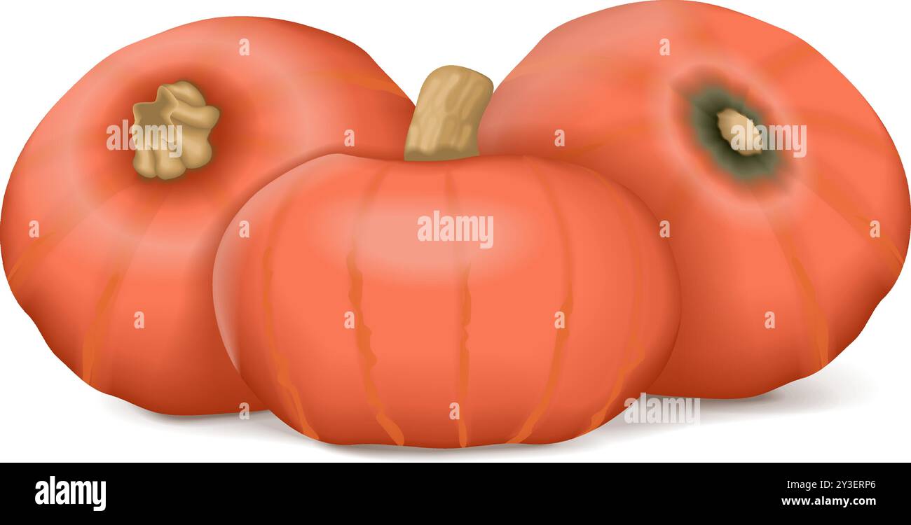 Group of Sunshine kabocha squash. Winter squash. Cucurbita maxima ...