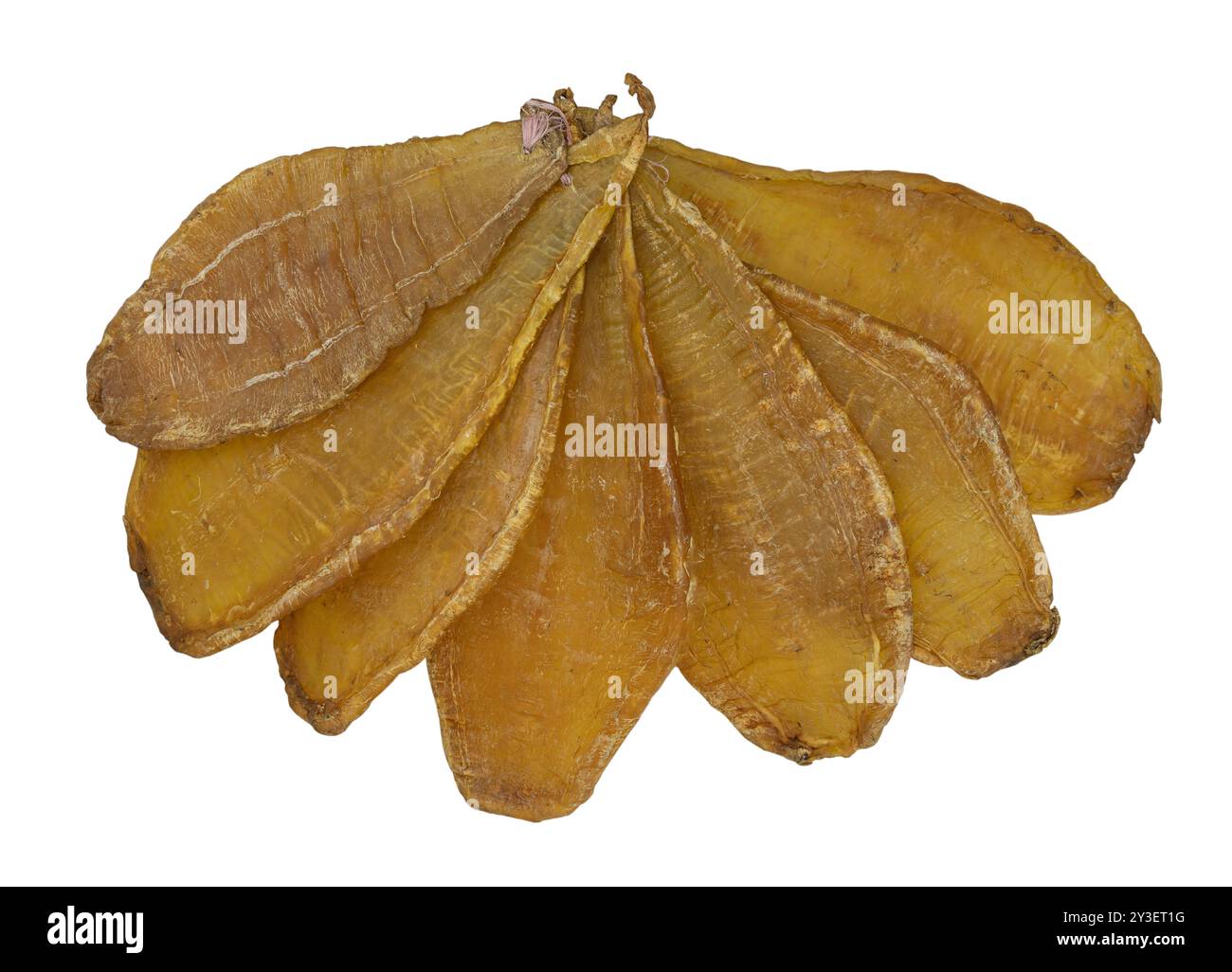 Fish Maw Soup or Dried Fish Stomach (Dried Fish Bladder) isolated on ...