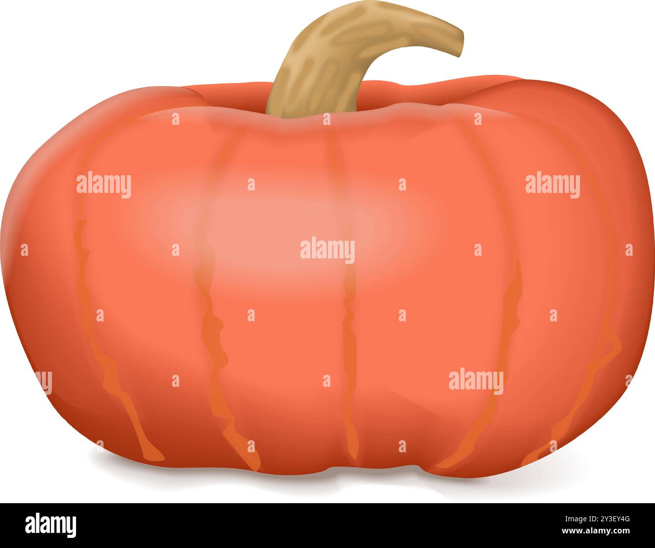 Kabocha Stock Vector Images - Alamy