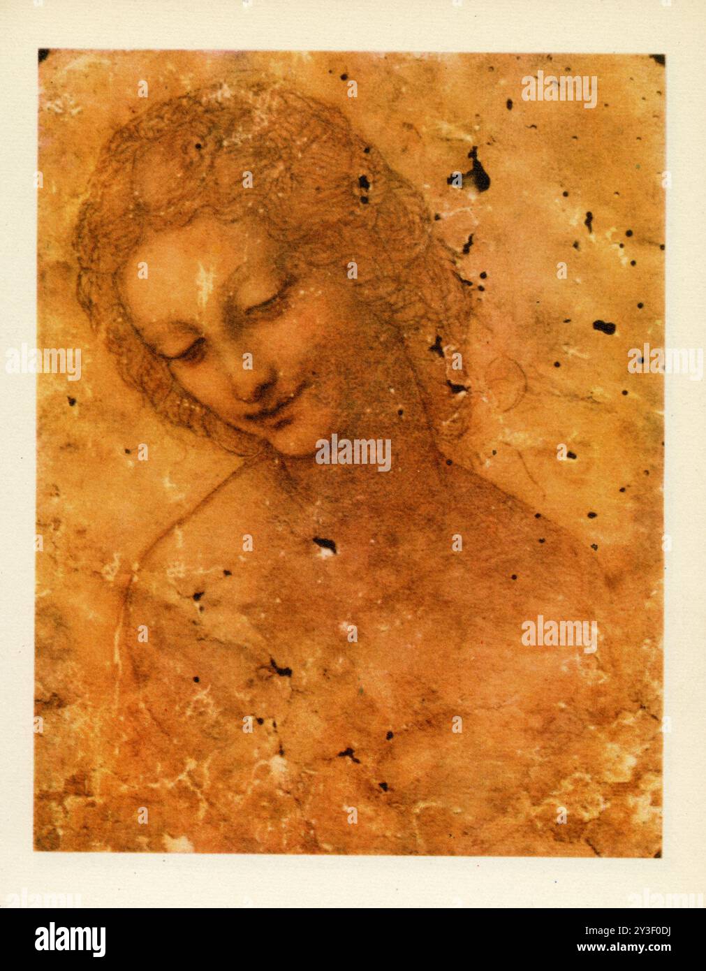 LEONARDO DA VINCI. TÊTE DE LEDA. VERS 1510 Stock Photo - Alamy