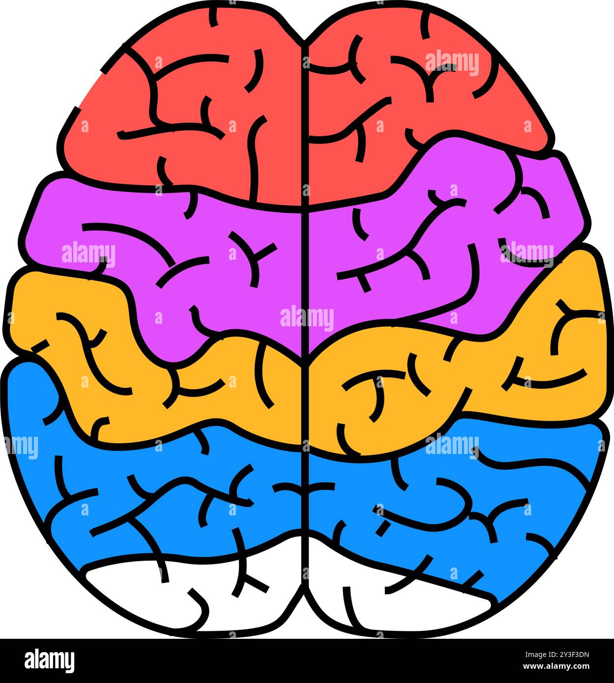 brain mapping neuroscience neurology icon color illustration Stock ...