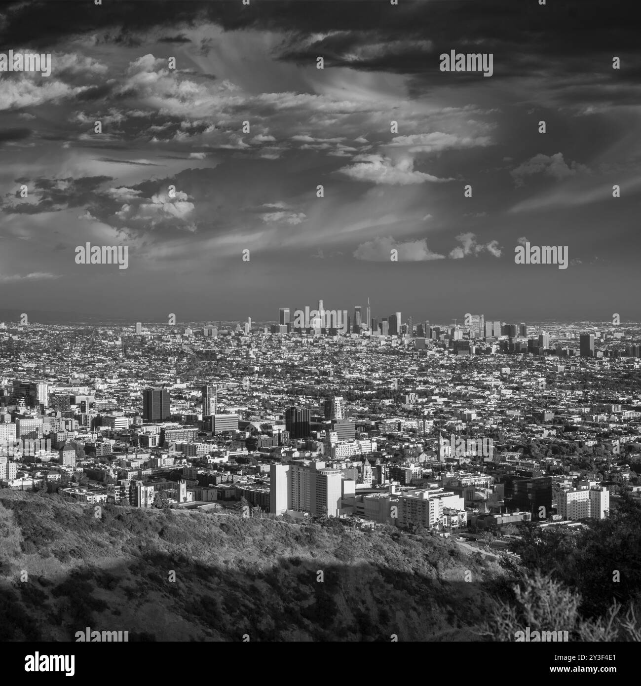 A sprawling urban cityscape of Los Angeles stretches into the distance ...