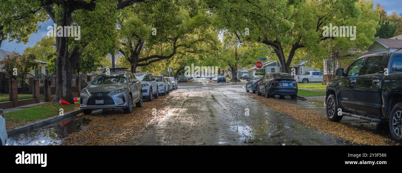 LOS ANGELES - March 24, 2024: Lined with cars on both sides, a wet ...