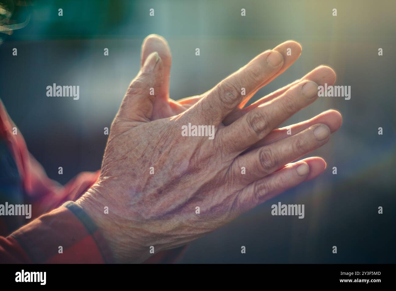 Old person hands put together in prayer gesture. Closeup, shallow DOF ...