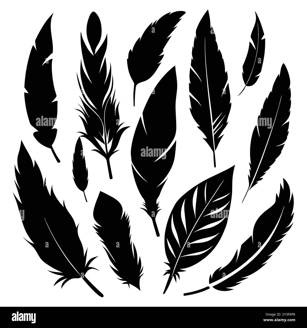 Elegant Feather Silhouettes Vector Set Stock Vector Image & Art - Alamy
