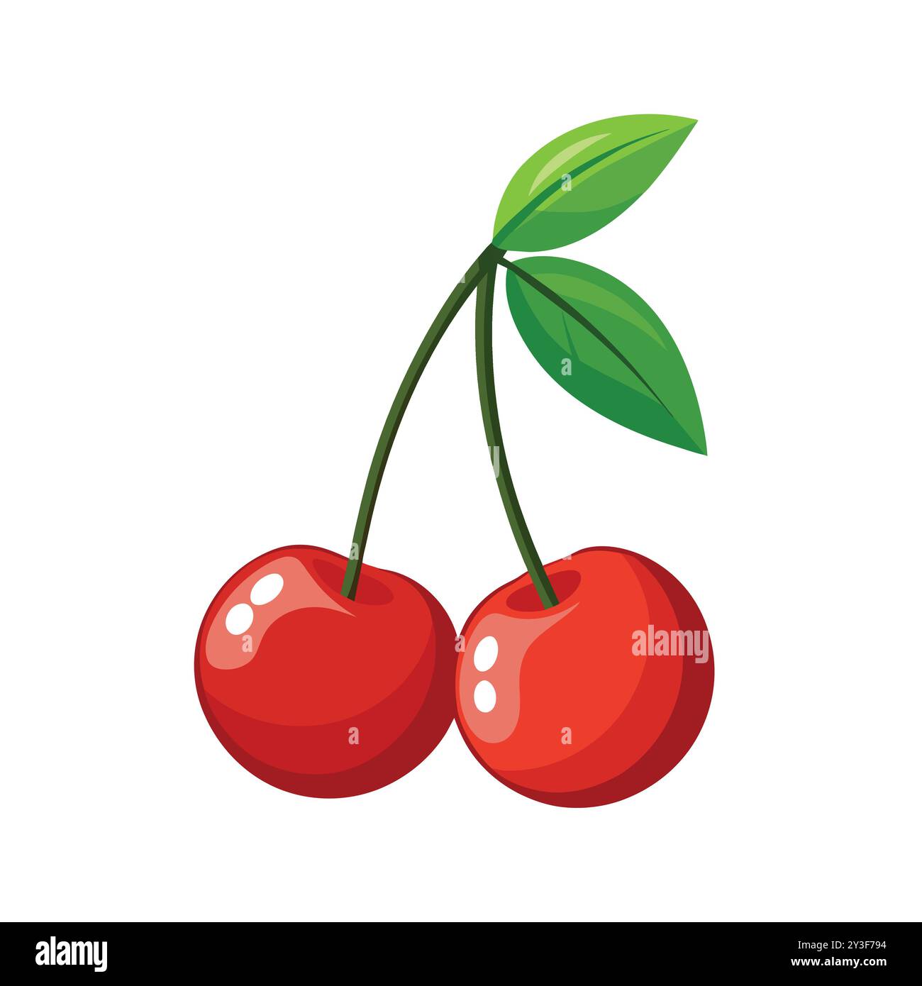 high resolution cherry vector artwork Stock Vector Image & Art - Alamy