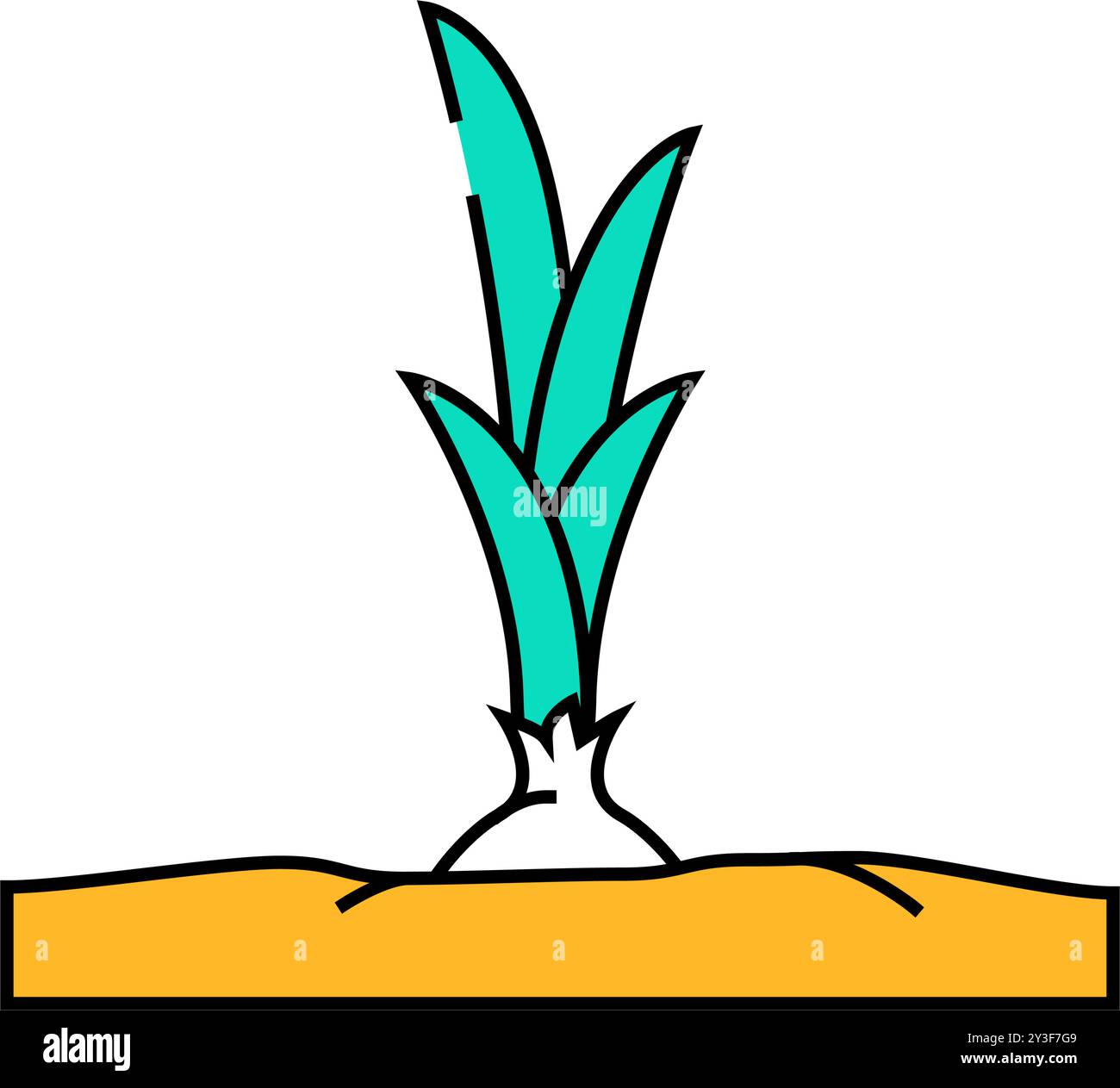 garden onion icon color illustration Stock Vector Image & Art - Alamy