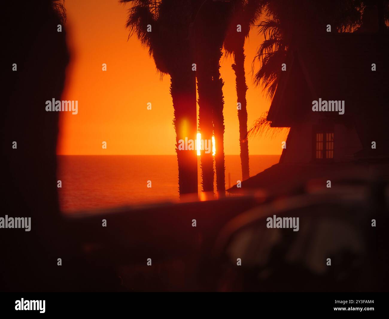 Sunset sun dipping into Pacific ocean horizon, captured through palm ...