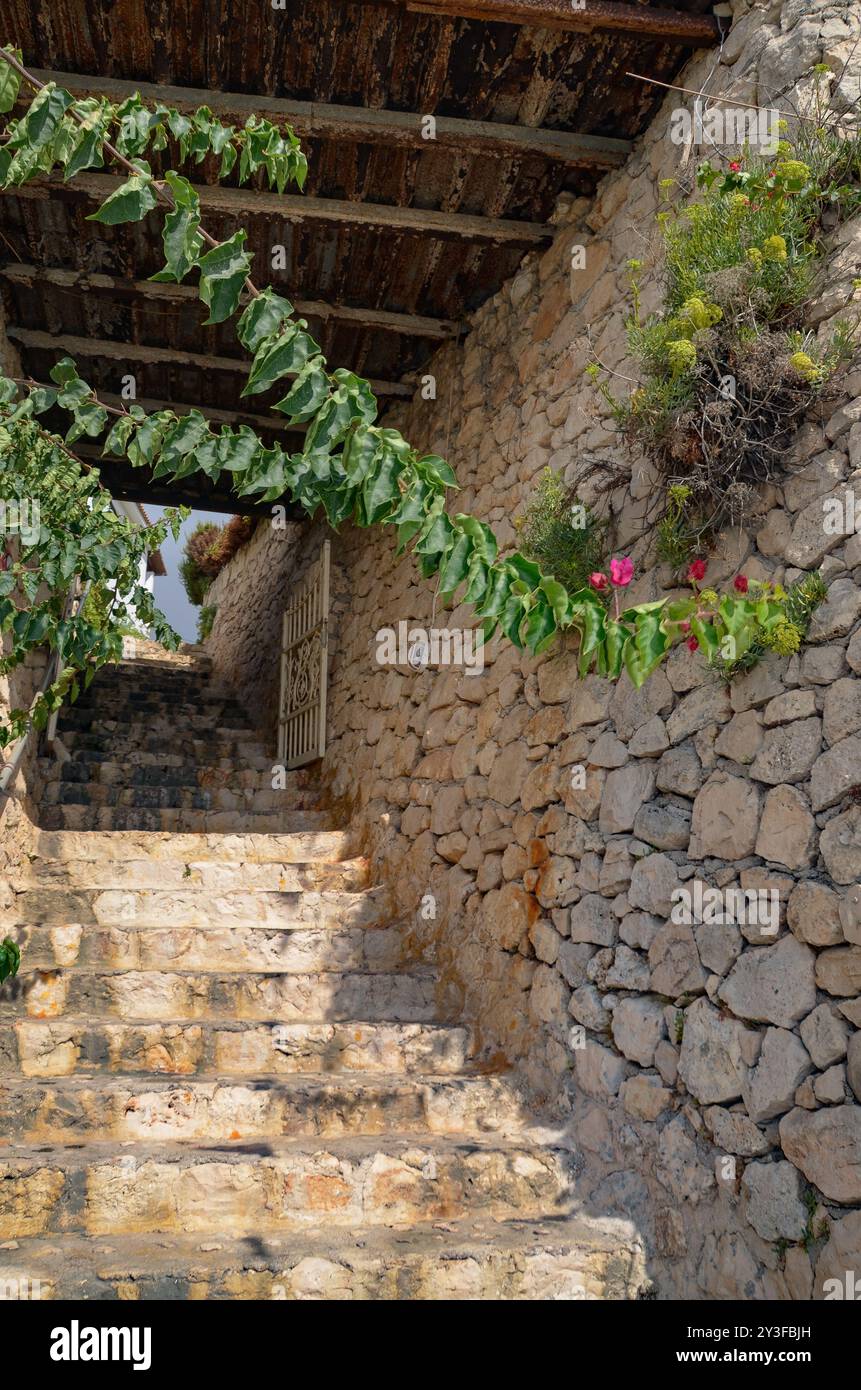Stone wall ivy greece hi-res stock photography and images - Alamy