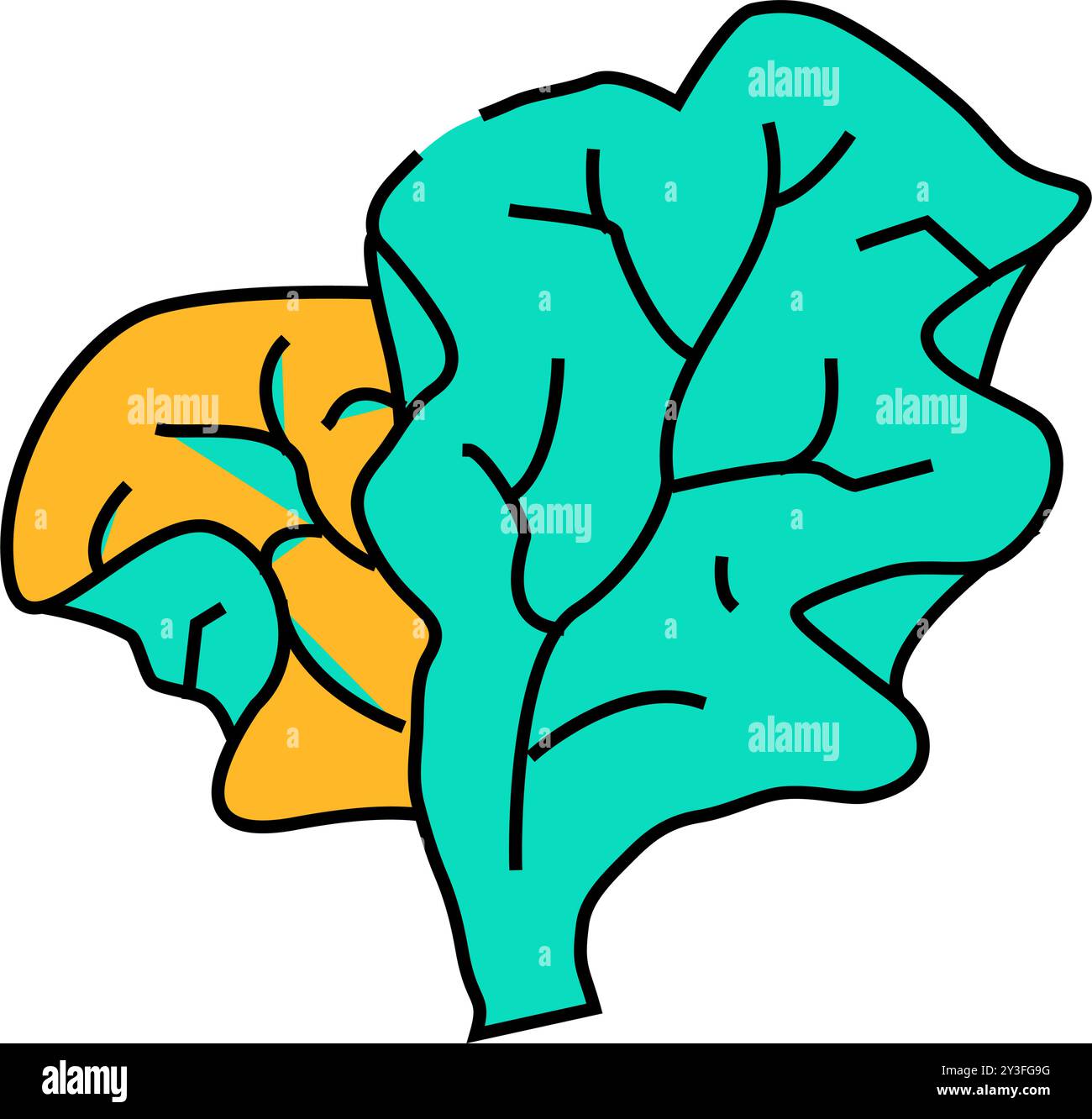 lichty salad icon color illustration Stock Vector Image & Art - Alamy