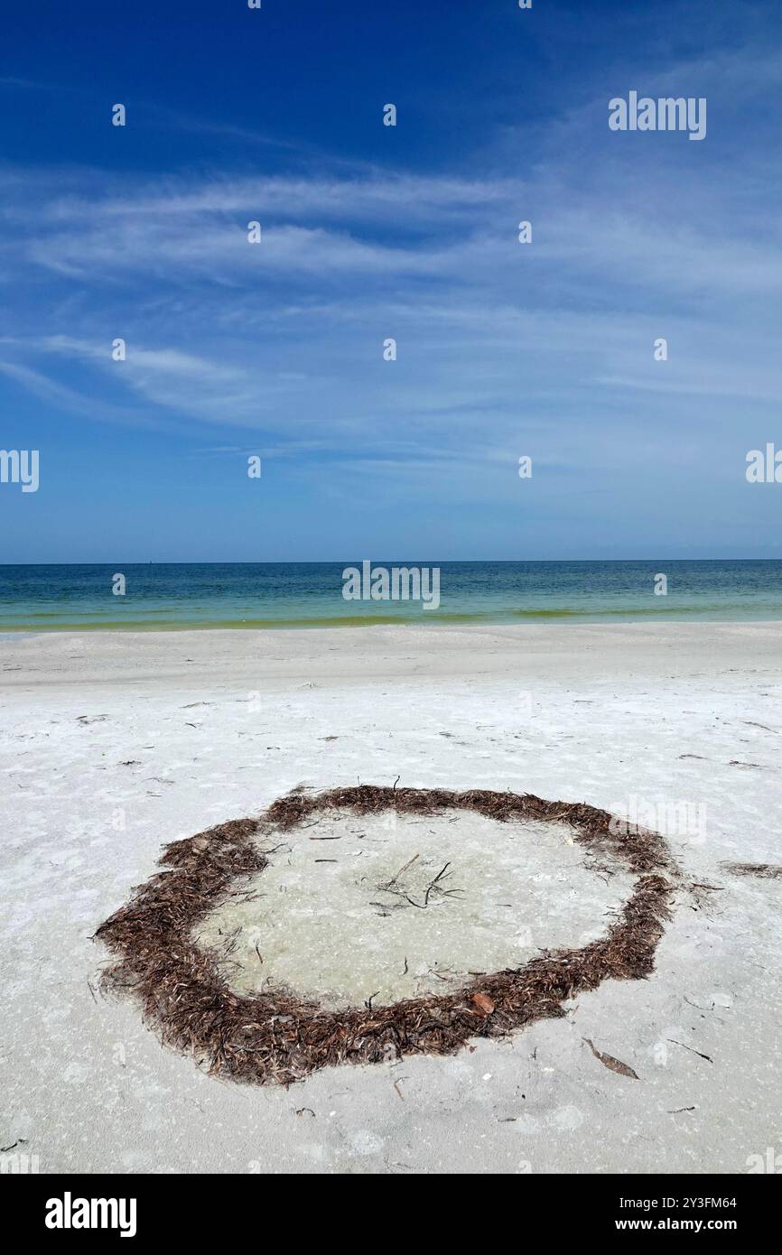 Seaweed is shaped to form a circle on a sandy beach along the the ...