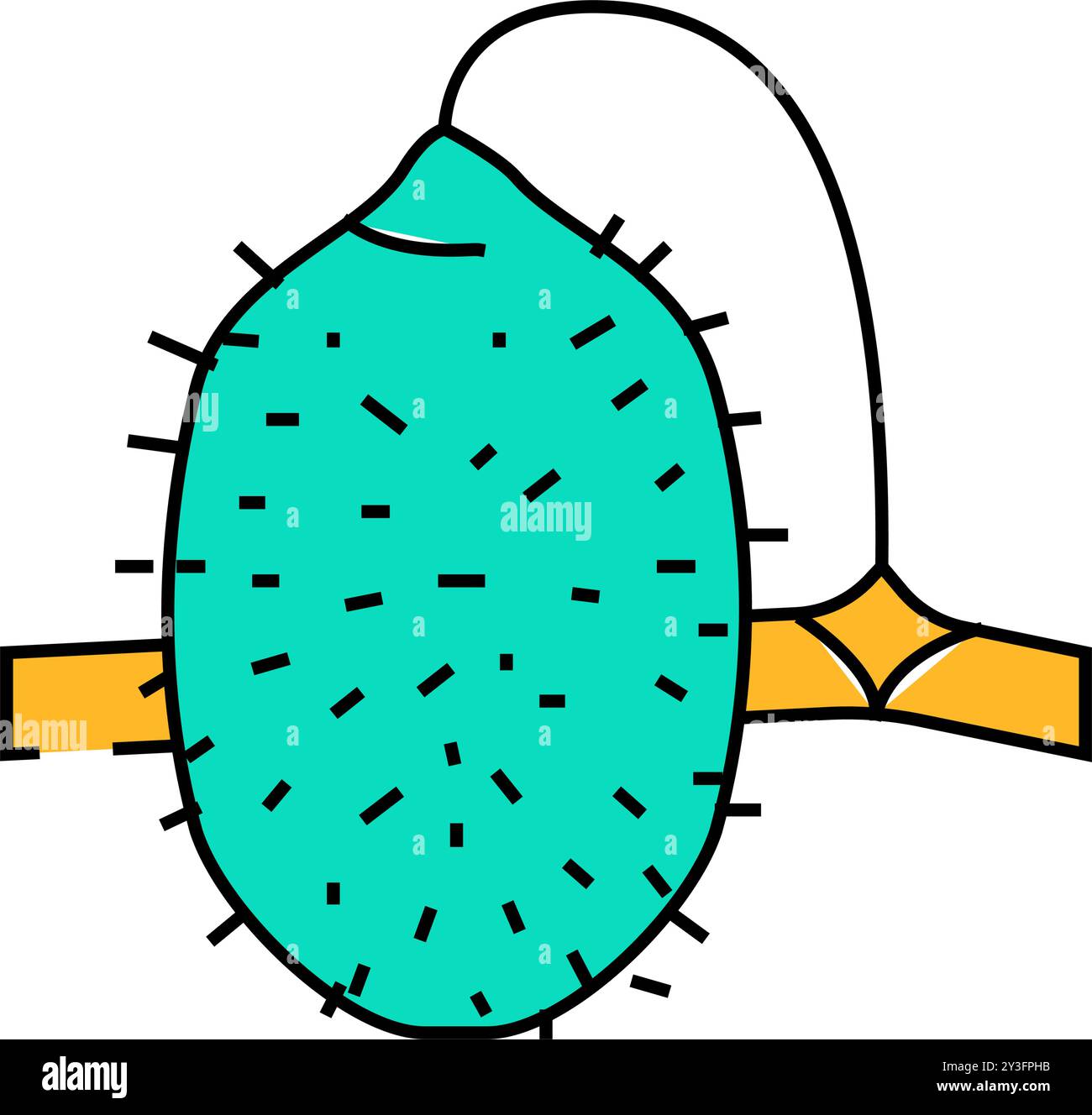 cucumber anguria icon color illustration Stock Vector Image & Art - Alamy