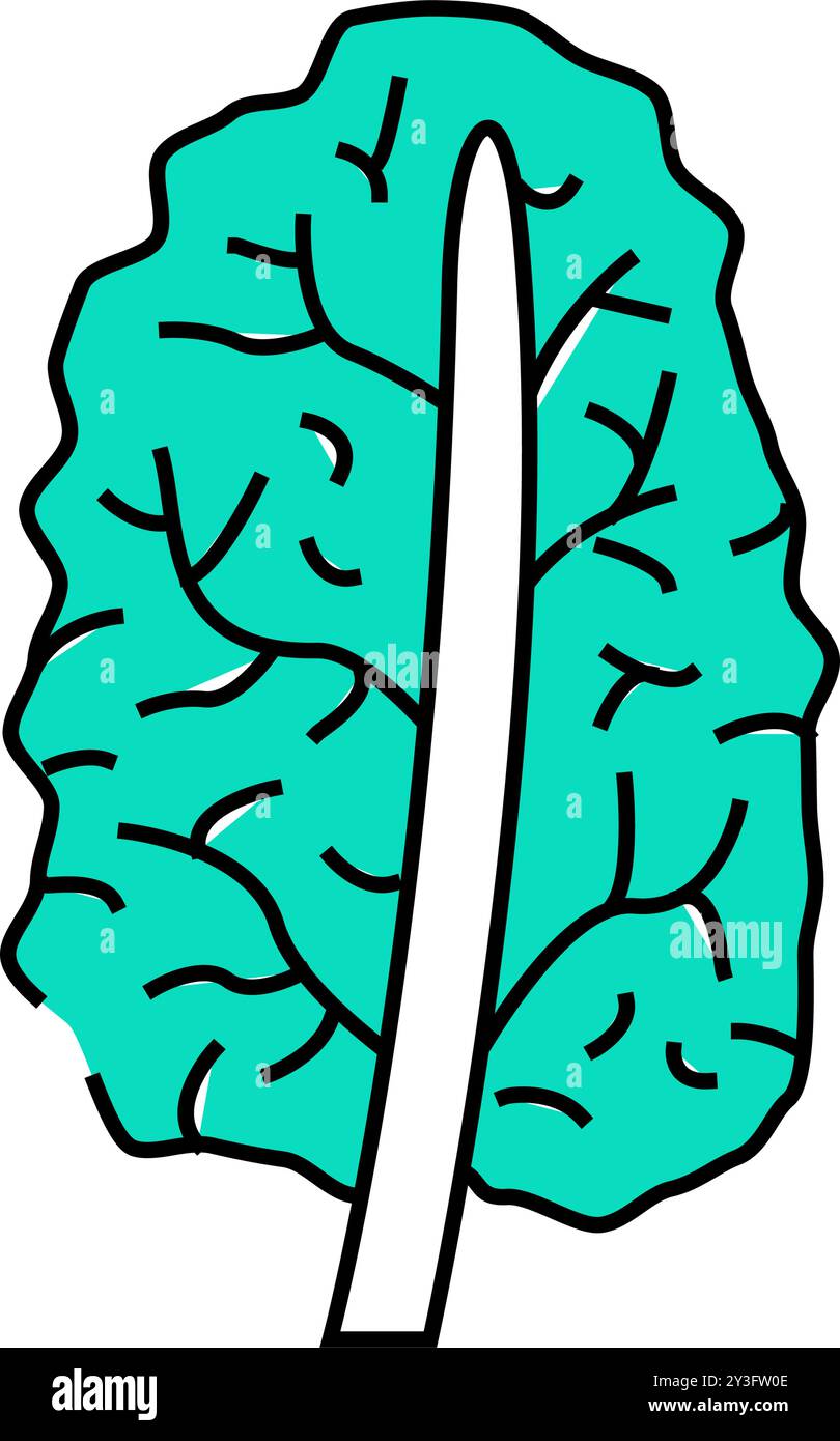 kale cabbage icon color illustration Stock Vector Image & Art - Alamy