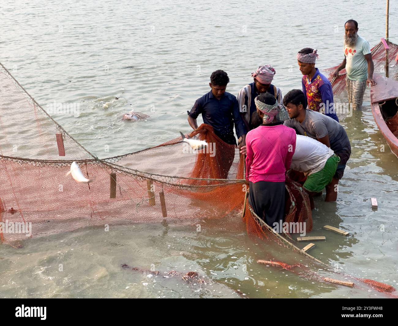 Local Fishermen Pulling Nets in a Rural Fishery, Bangladesh Stock Photo ...
