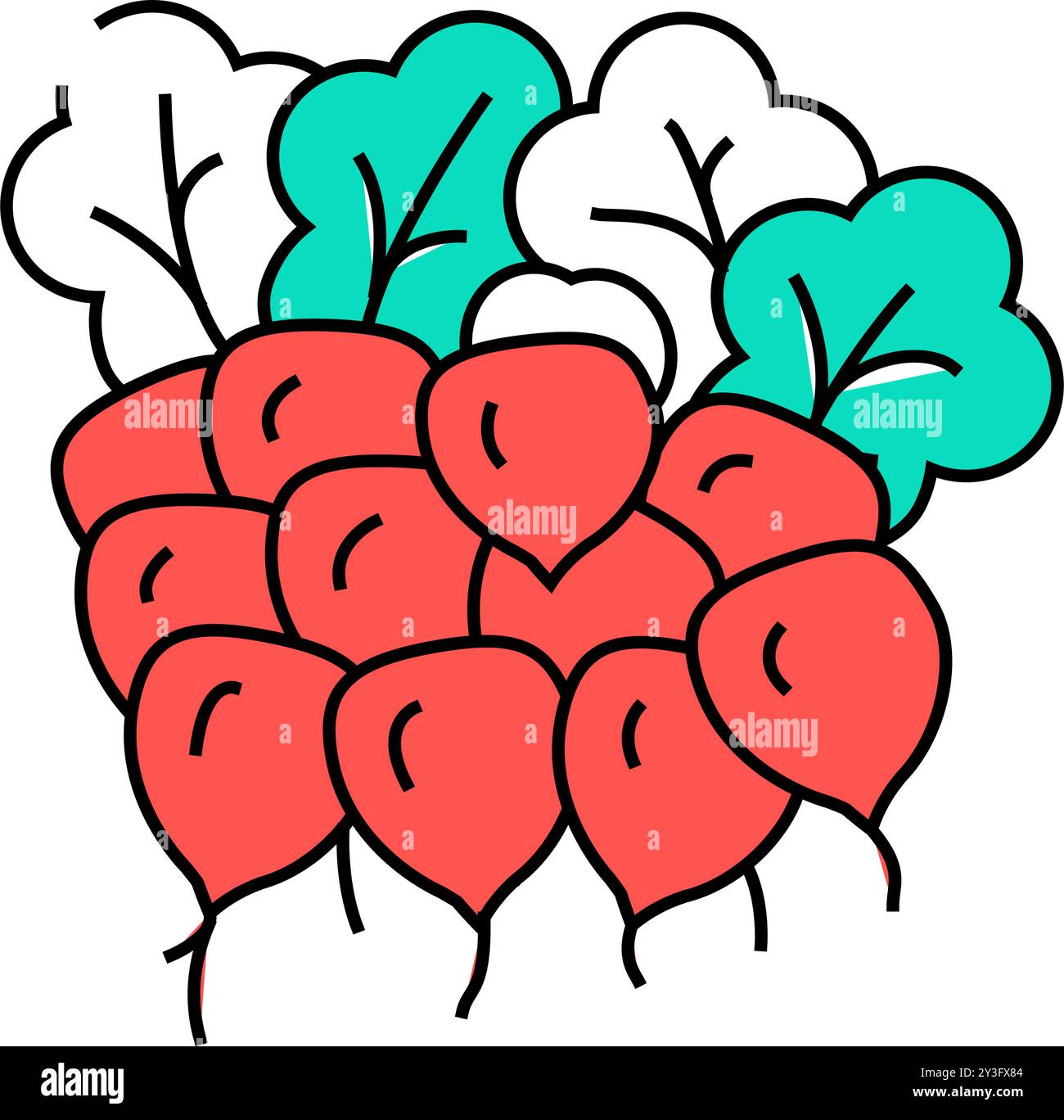 bunch radish icon color illustration Stock Vector Image & Art - Alamy
