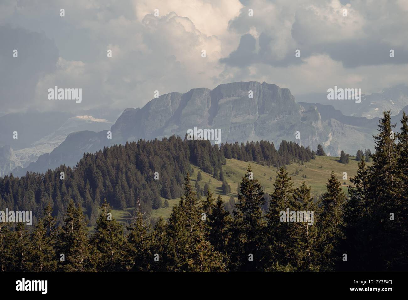 A picturesque alpine landscape with dense pine forests and steep ...