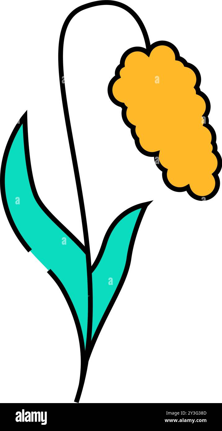 Millet meal millet flakes Stock Vector Images - Alamy