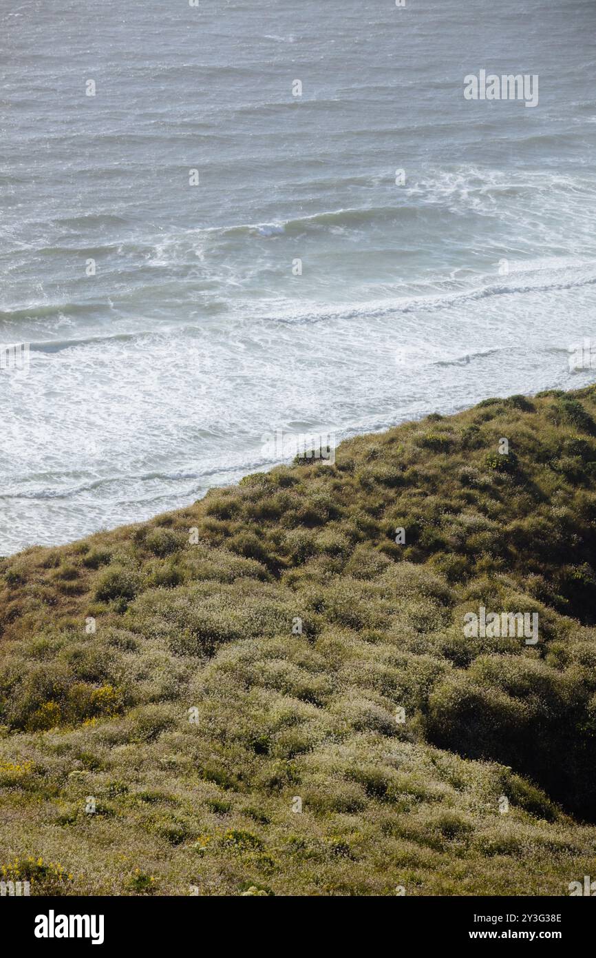 Tomales Point Trail | Point Reyes, California, USA 2024 Stock Photo - Alamy
