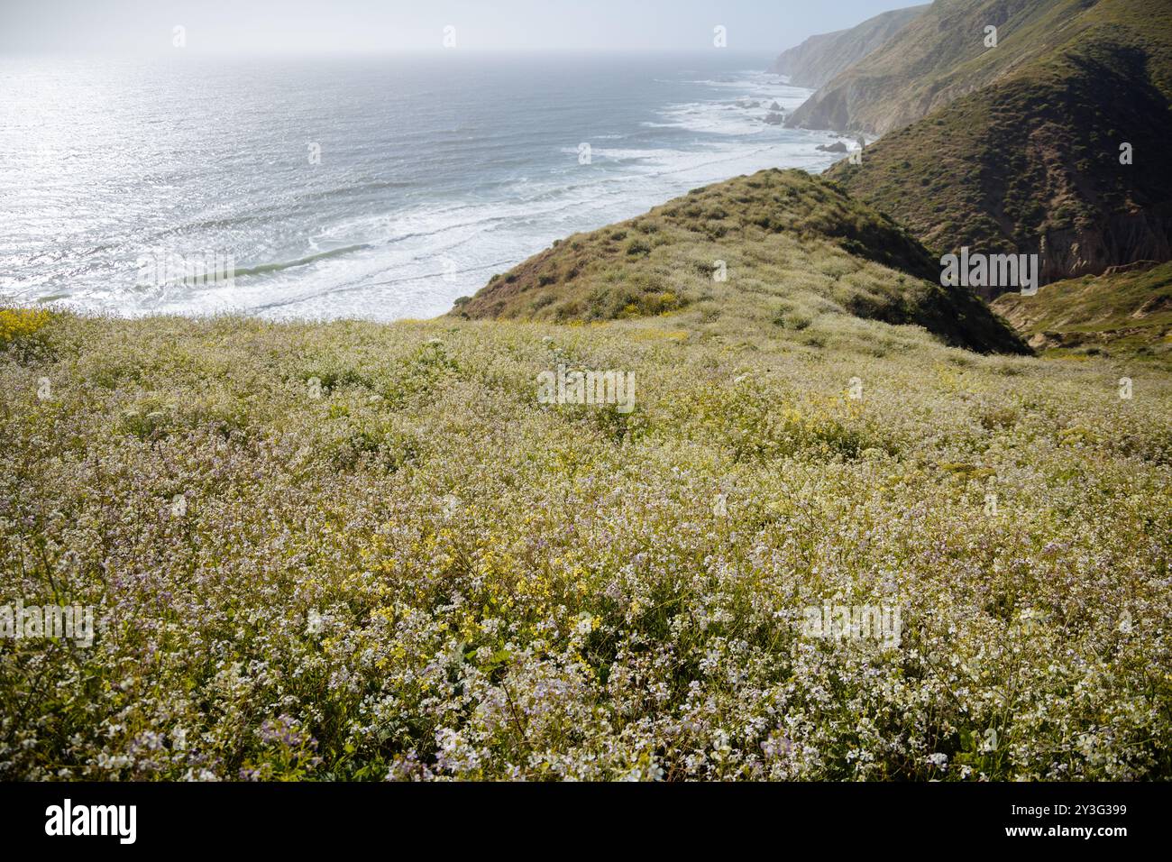 Tomales Point Trail | Point Reyes, California, USA 2024 Stock Photo - Alamy