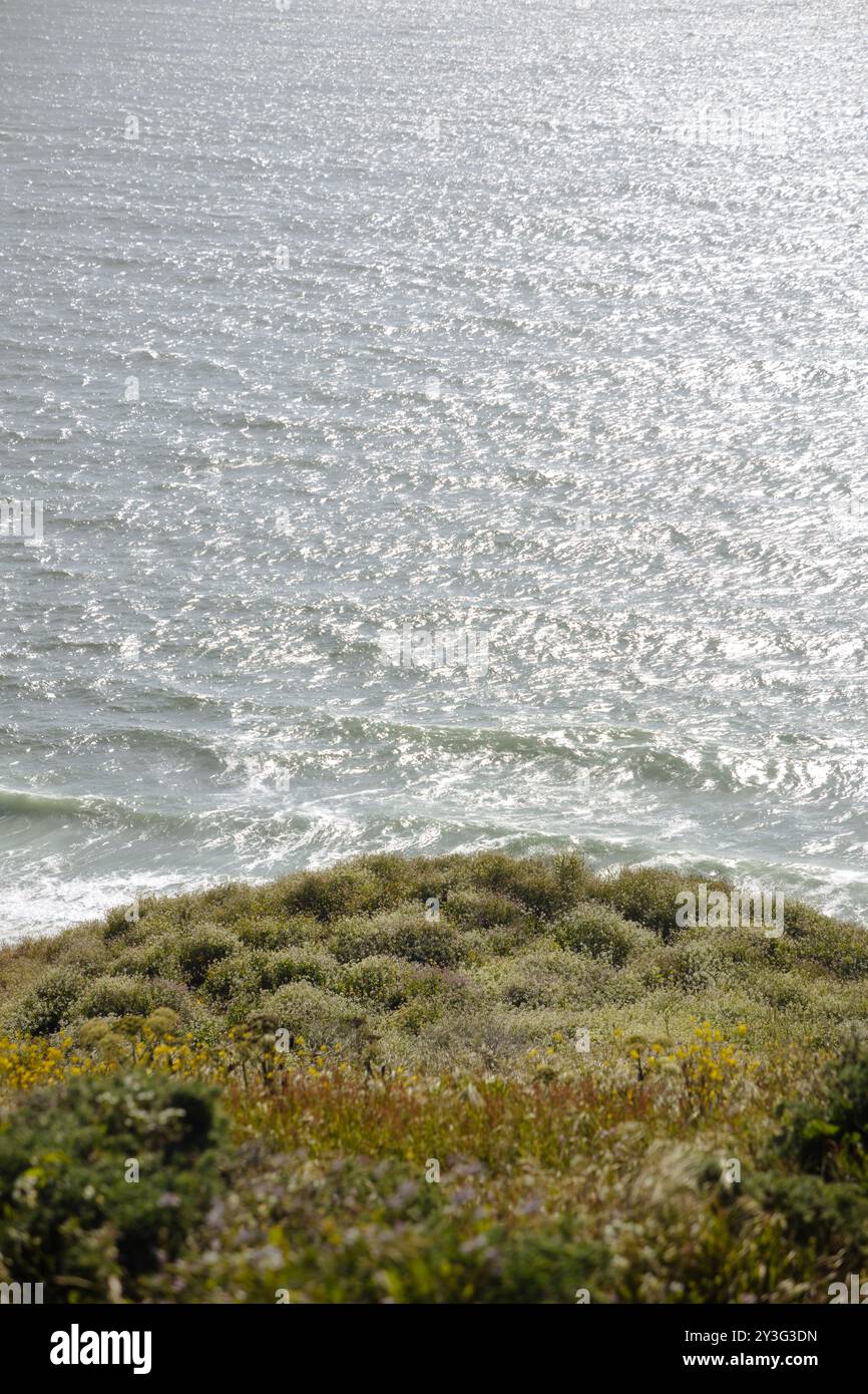 Tomales Point Trail | Point Reyes, California, USA 2024 Stock Photo - Alamy