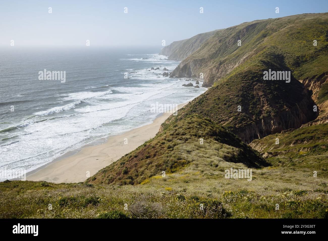Tomales Point Trail | Point Reyes, California, USA 2024 Stock Photo - Alamy