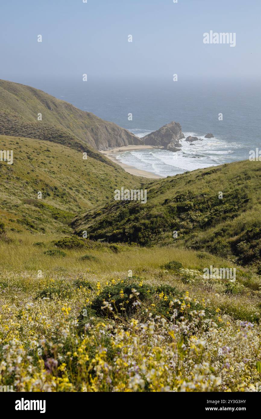Tomales Point Trail | Point Reyes, California, USA 2024 Stock Photo - Alamy