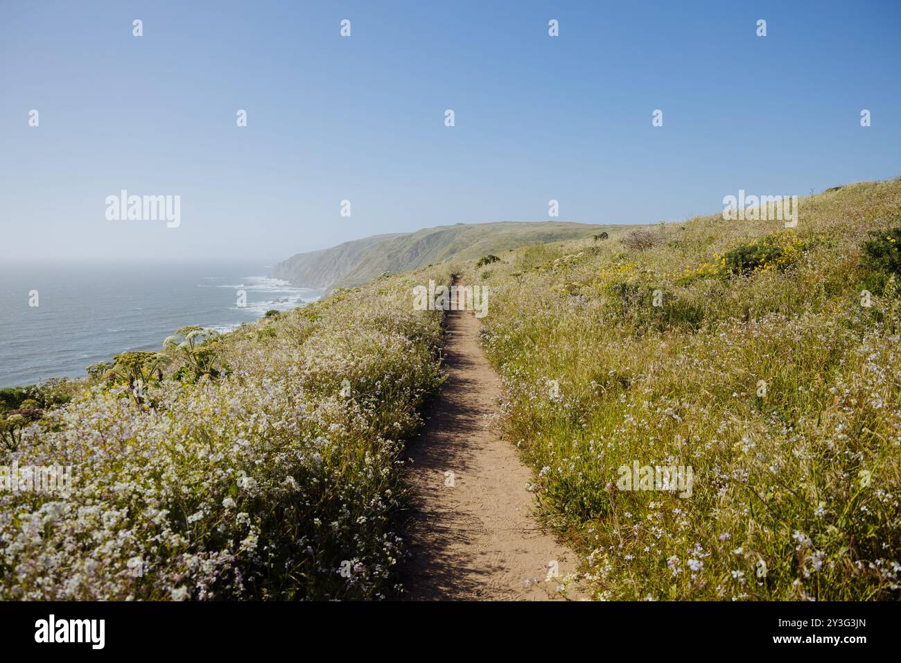 Tomales Point Trail | Point Reyes, California, USA 2024 Stock Photo - Alamy