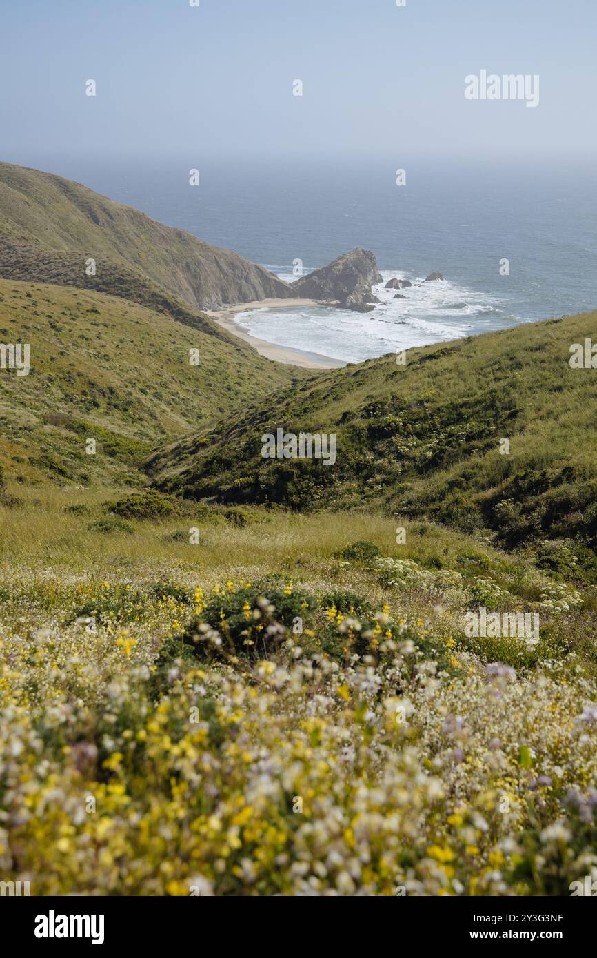 Tomales Point Trail | Point Reyes, California, USA 2024 Stock Photo - Alamy