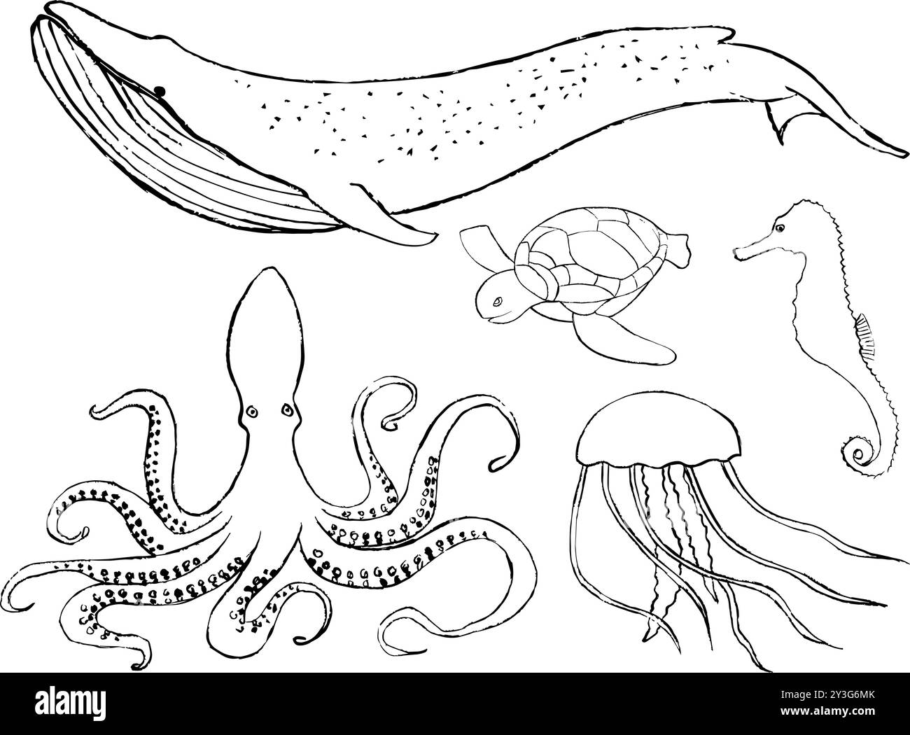 set of had drawn sea animals, whale, octopus, turtle, jelly fish and ...