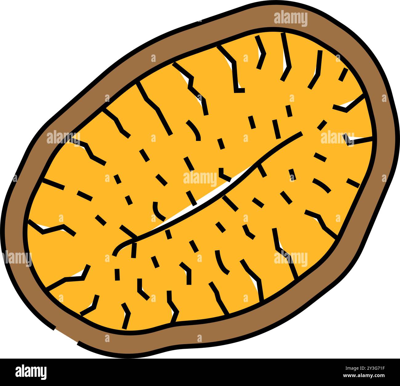 Kiwi dry fruit icon Stock Vector Images - Alamy