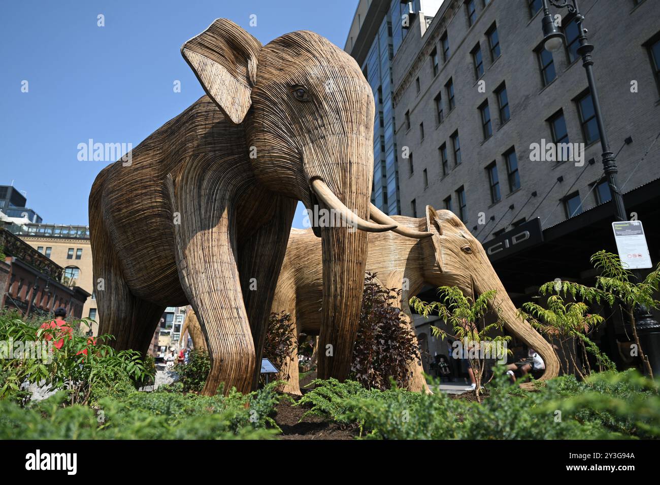 Life-size elephant sculptures are seen during the "Great Elephant ...