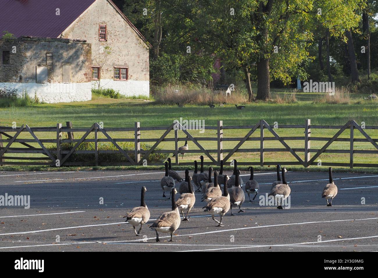 Outdoor leadership hi-res stock photography and images - Alamy