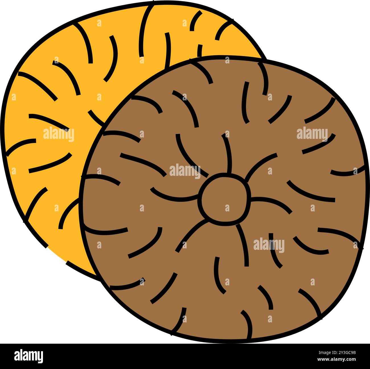 figs dried fruit icon color illustration Stock Vector Image & Art - Alamy