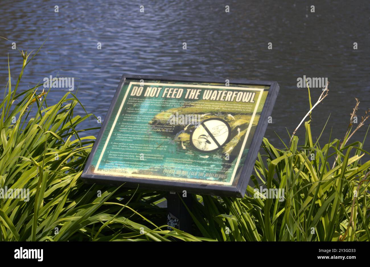 do not feed the waterfowl sign near water and tall grass Stock Photo ...