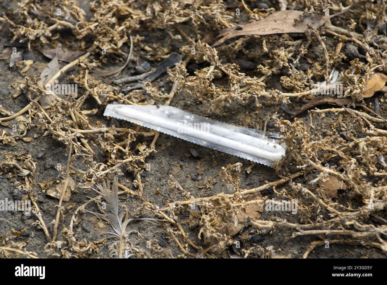 Littered playground hi-res stock photography and images - Alamy