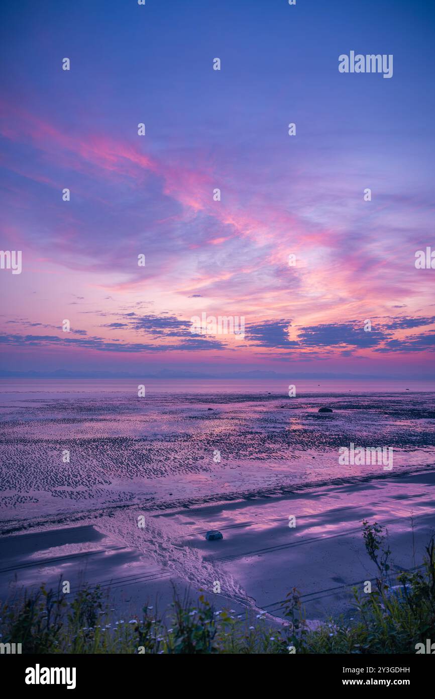 Midnight tree line hi-res stock photography and images - Alamy