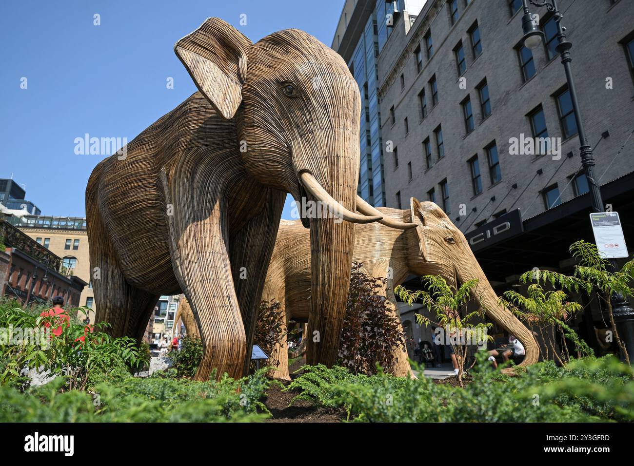 Photo by: NDZ/STAR MAX/IPx 2024 9/13/24 Life-size elephant sculptures ...