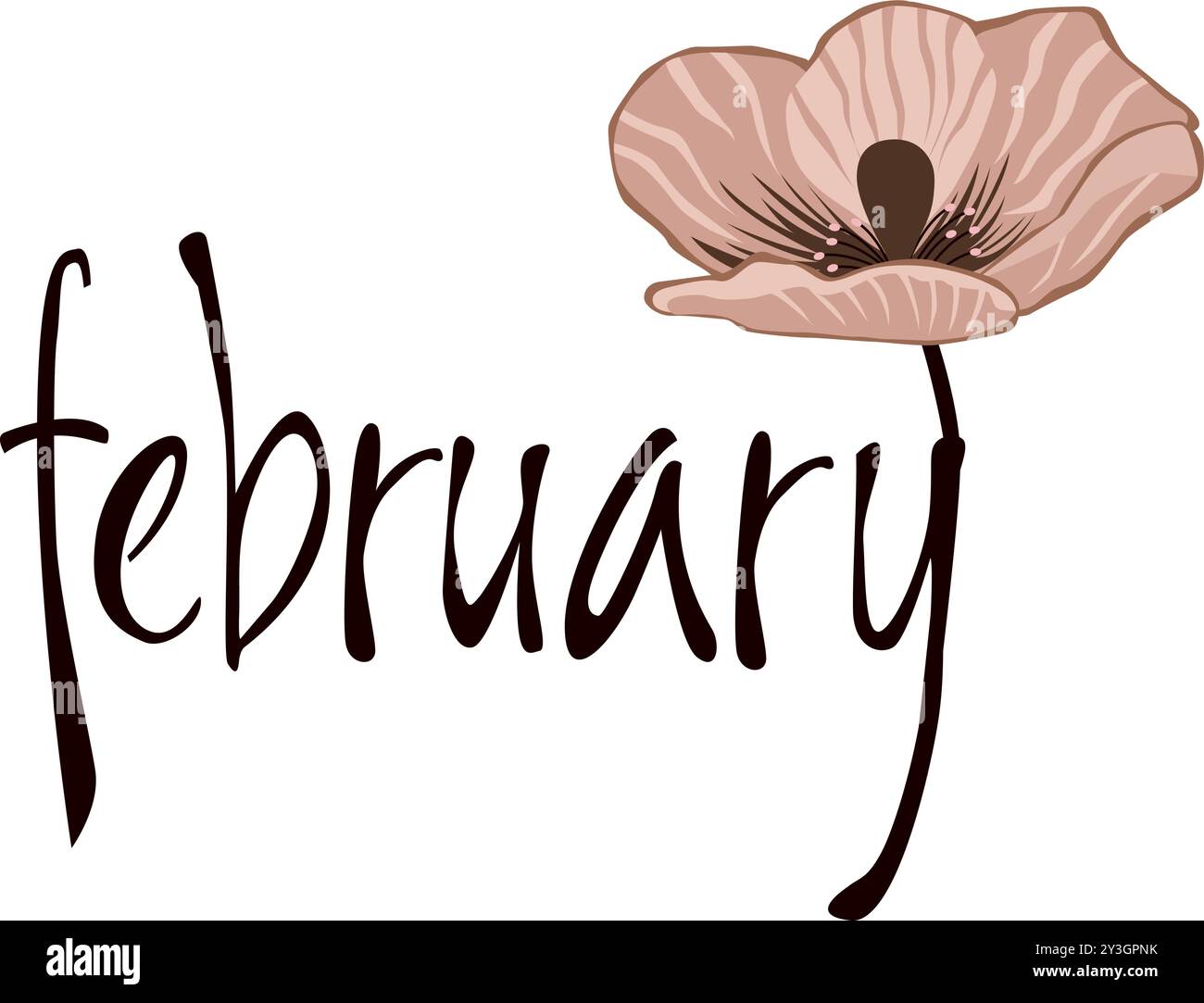 Set Vector Lettering of Month. Handwritten modern black outline ...