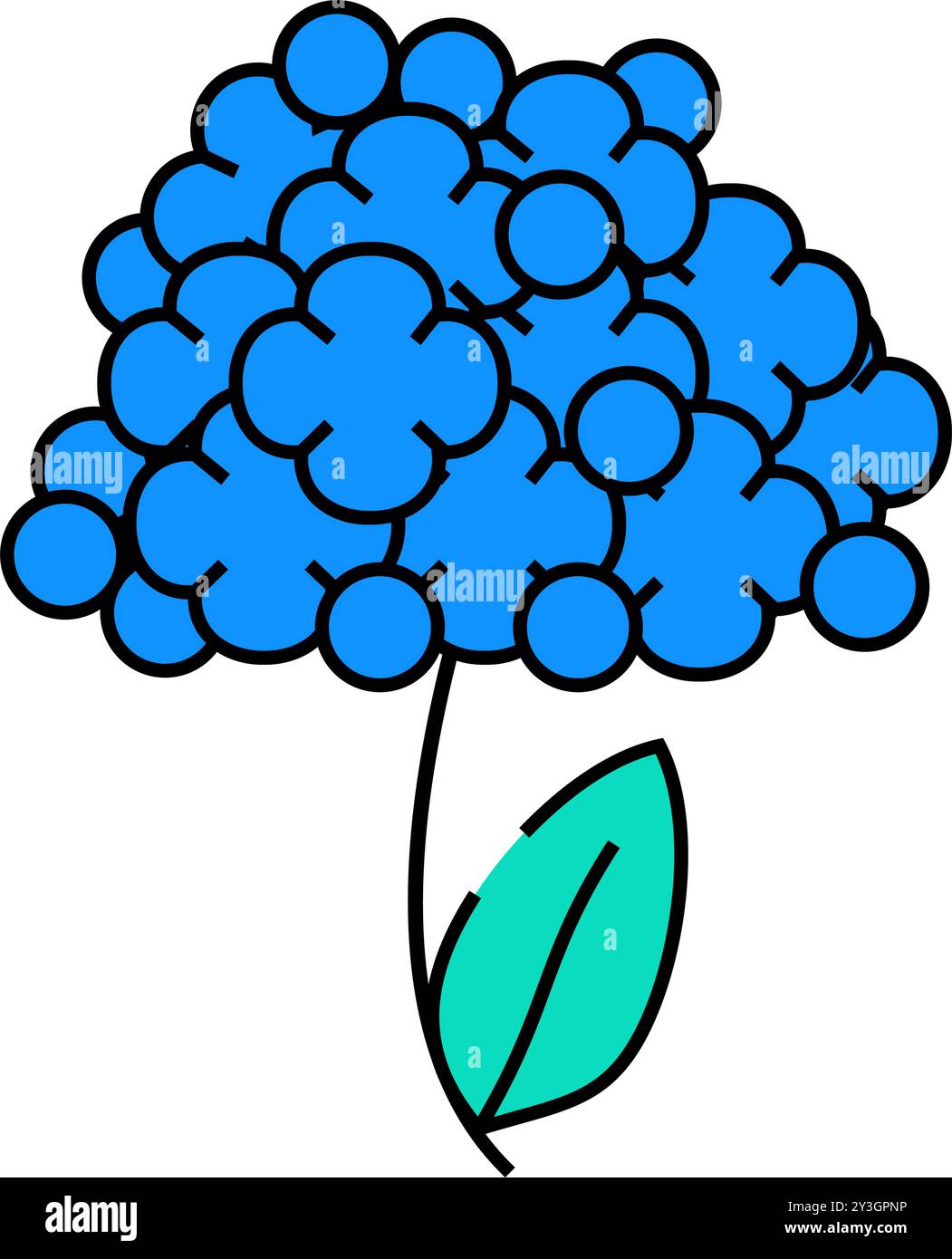 hydrangea flower icon color illustration Stock Vector Image & Art - Alamy
